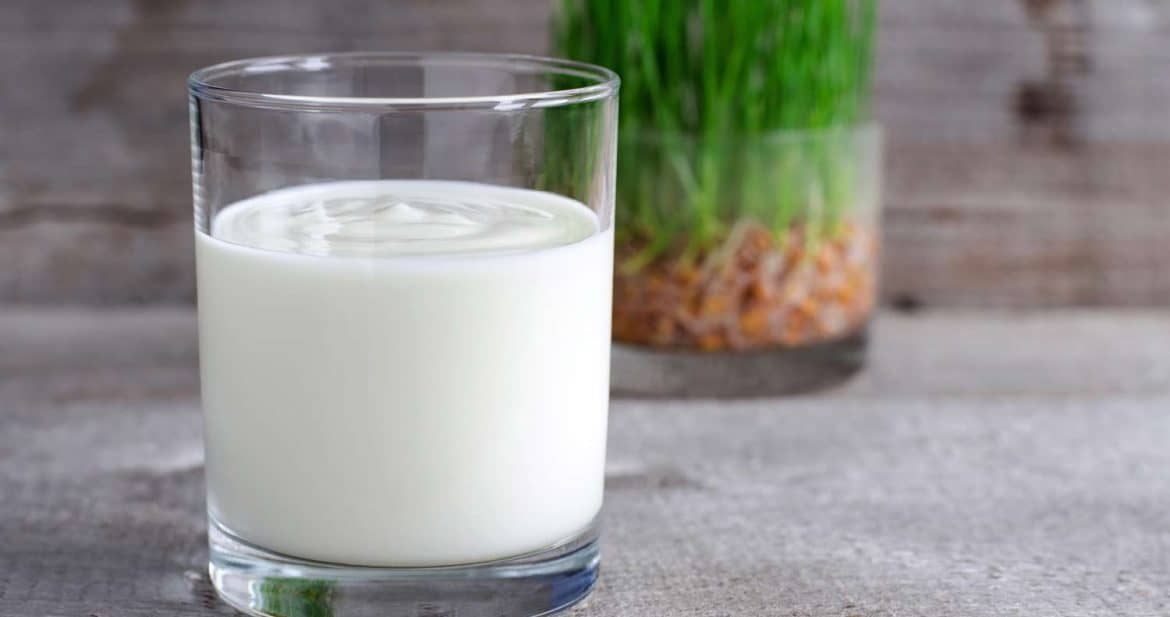 拏 Cómo Hacer Yogurt Natural Casero